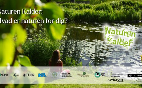 Kalender - Studenterhuset